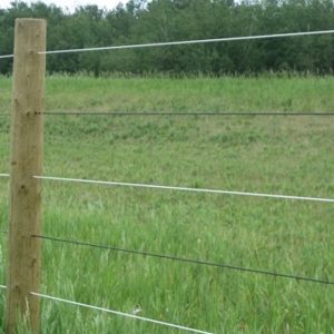 FinishLine Horse Fence 2000ft Spool - Horse Fence Direct Store