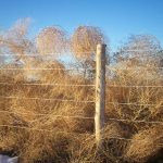 FinishLine Horse Fence 2000ft Spool - Horse Fence Direct Store