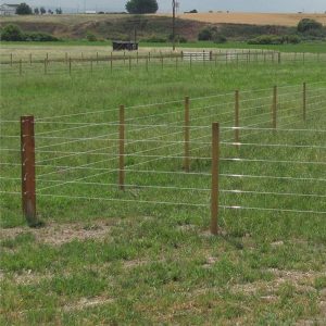 FinishLine Horse Fence 2000ft Spool - Horse Fence Direct Store