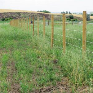 FinishLine Horse Fence 2000ft Spool - Horse Fence Direct Store