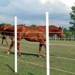 PolyPlus Non-Electric 1320 ft - Horse Fence Direct Store